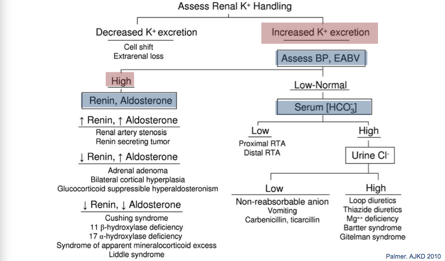 Un cas clinique d’hyperaldostéronisme primaire – Nephro.blog